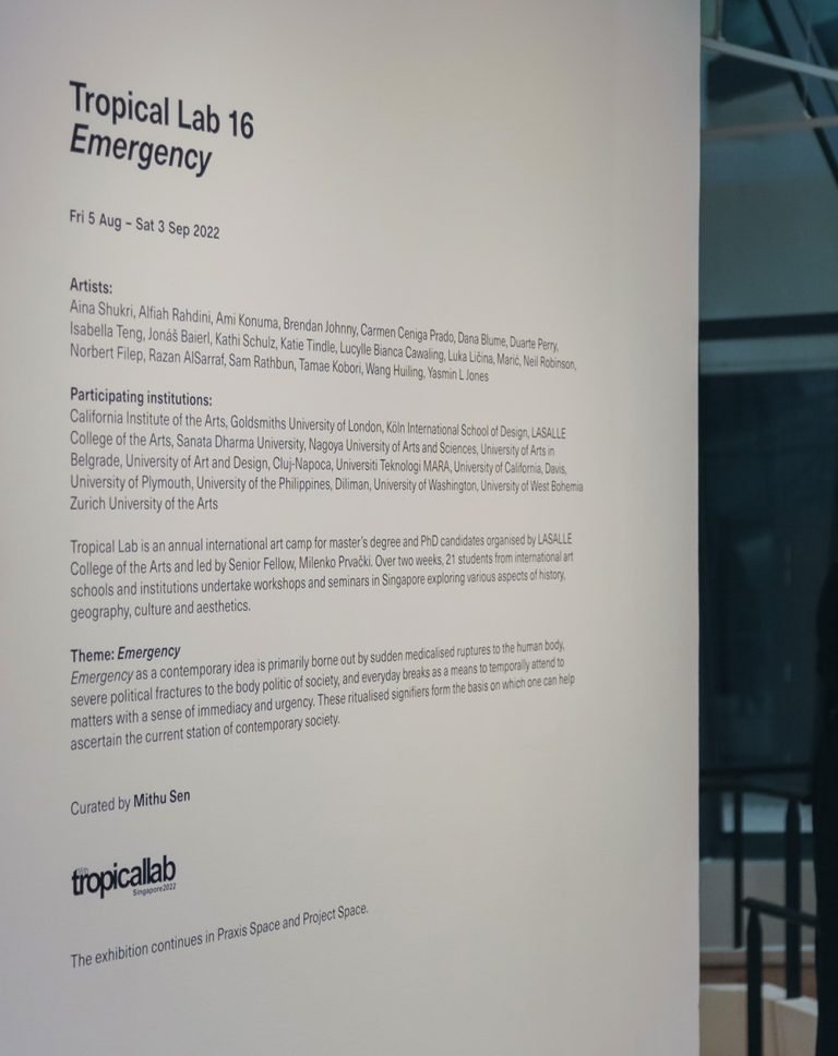 Singapore Art Gallery Guide – Tropical Lab Retrospective